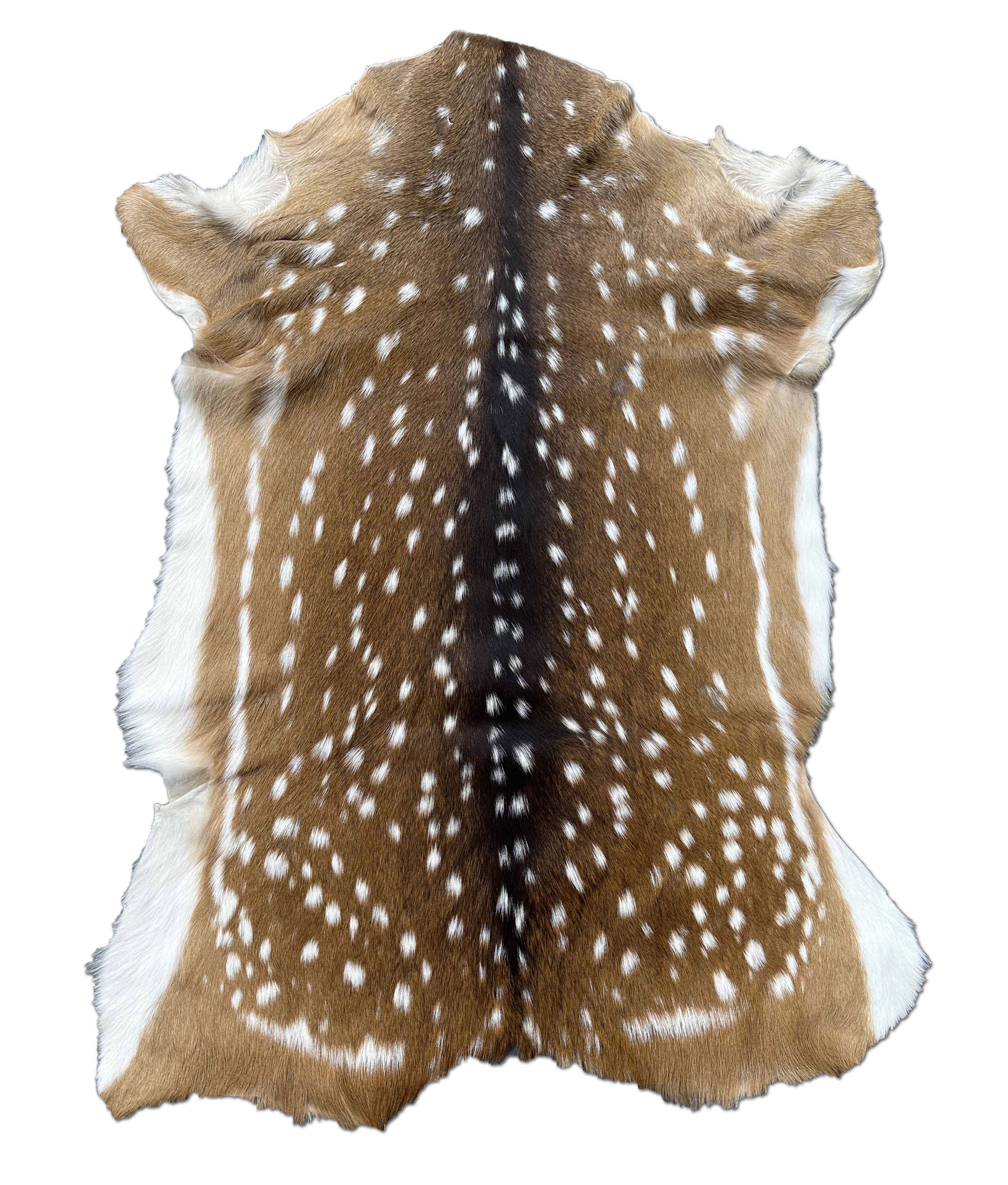 Axis Deer Hide Real Fur Rug – Furug