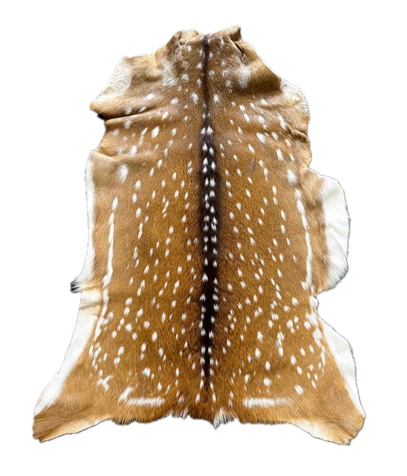 Natural Axis Deer Hide Fur Rug | A Grade – Furug
