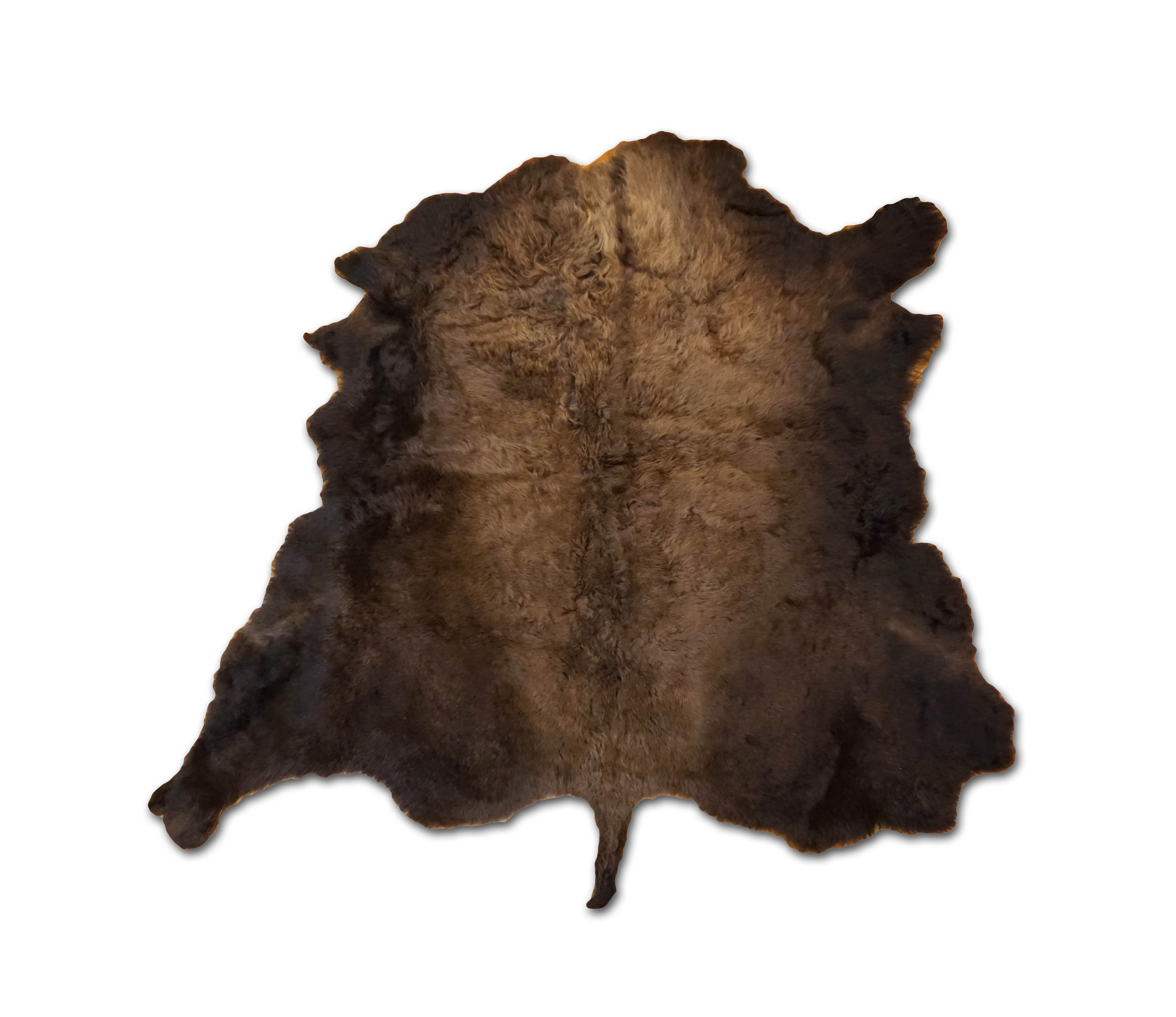 Natural American Buffalo Bison Hide Fur Rug – Furug