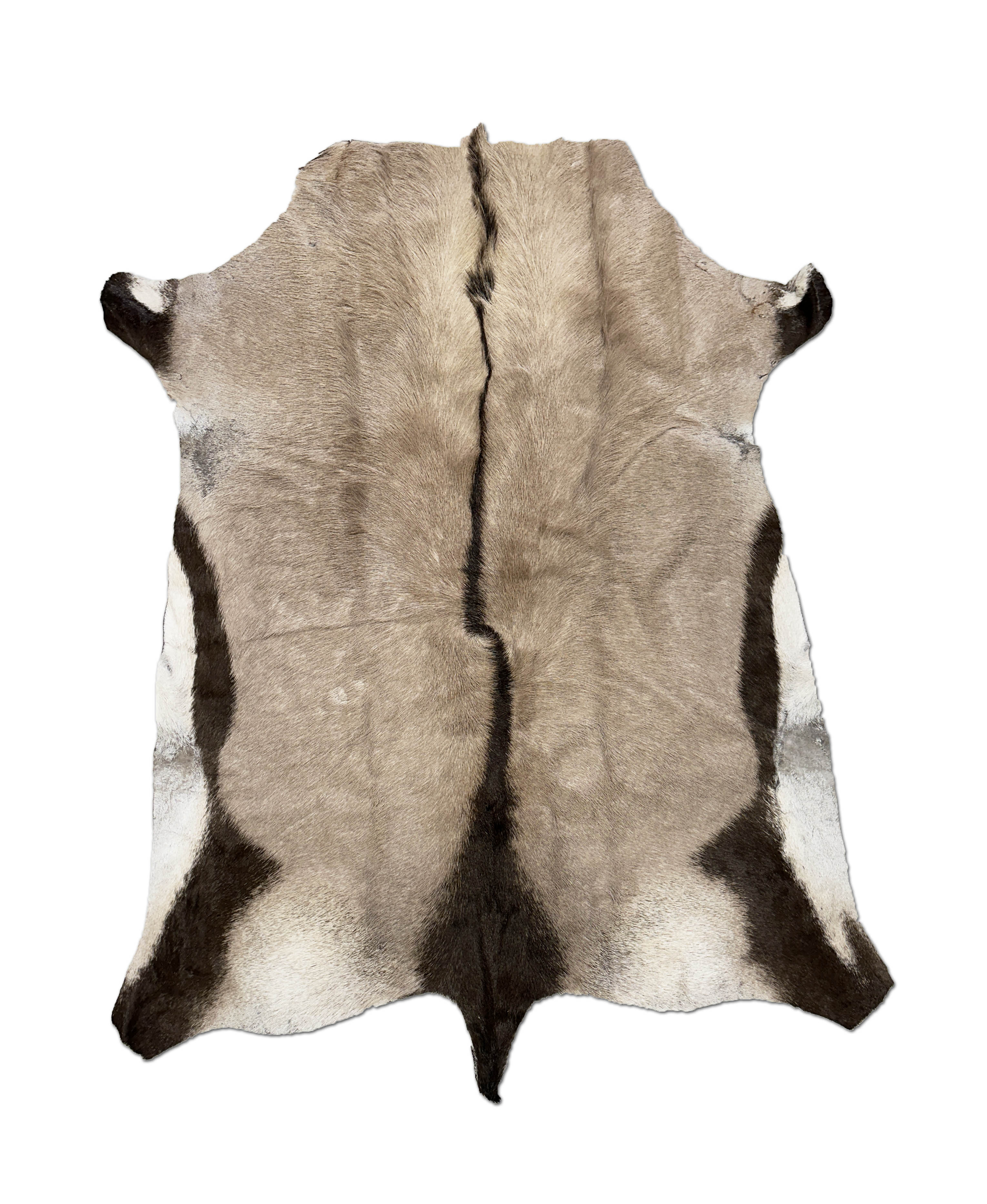 Natural Oryx Gemsbok Animal Hide Real Fur Rug - Exotic Hide – Furug