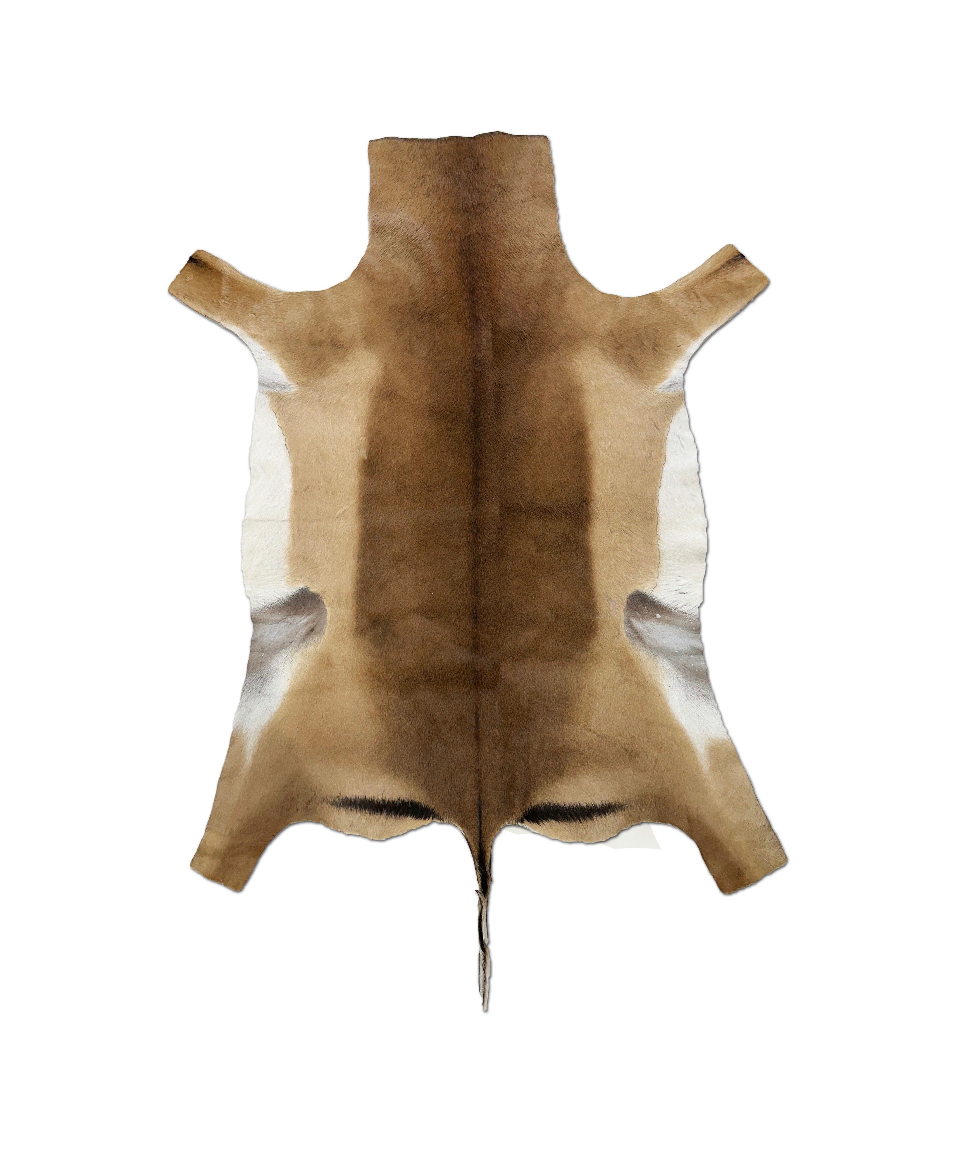 African Impala Animal Hide Rug - Exotic Game Hide – Furug