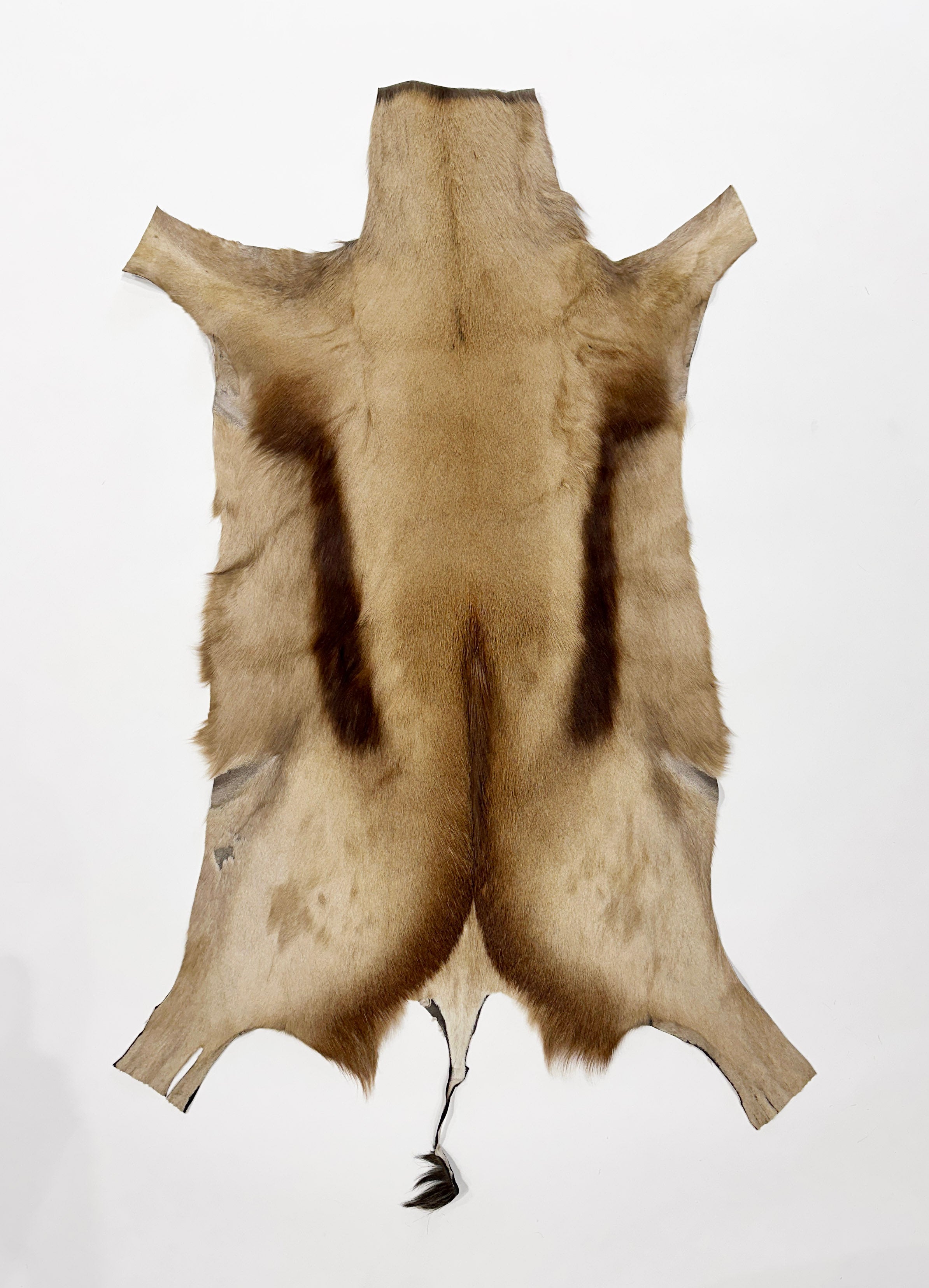 Rare Copper Springbok Hide Real Fur Rug - Exotic Animal Hide – Furug