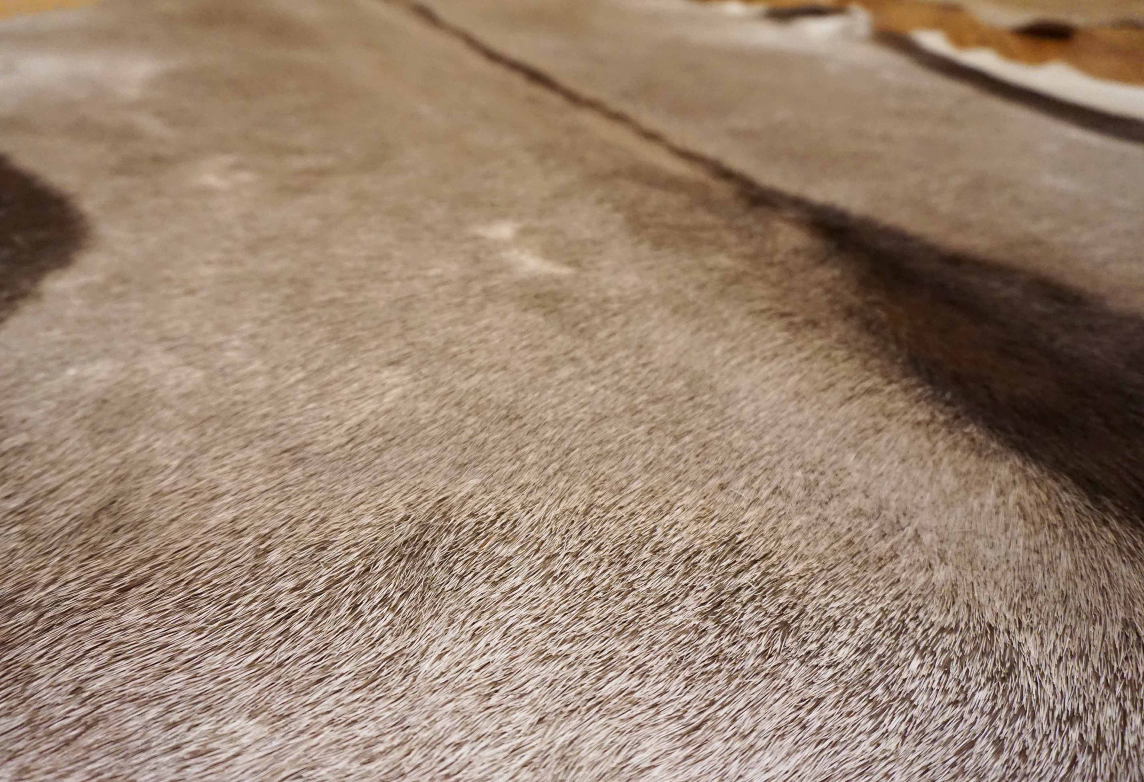 Natural Oryx Gemsbok Hide Real Fur Rug | XL – Furug